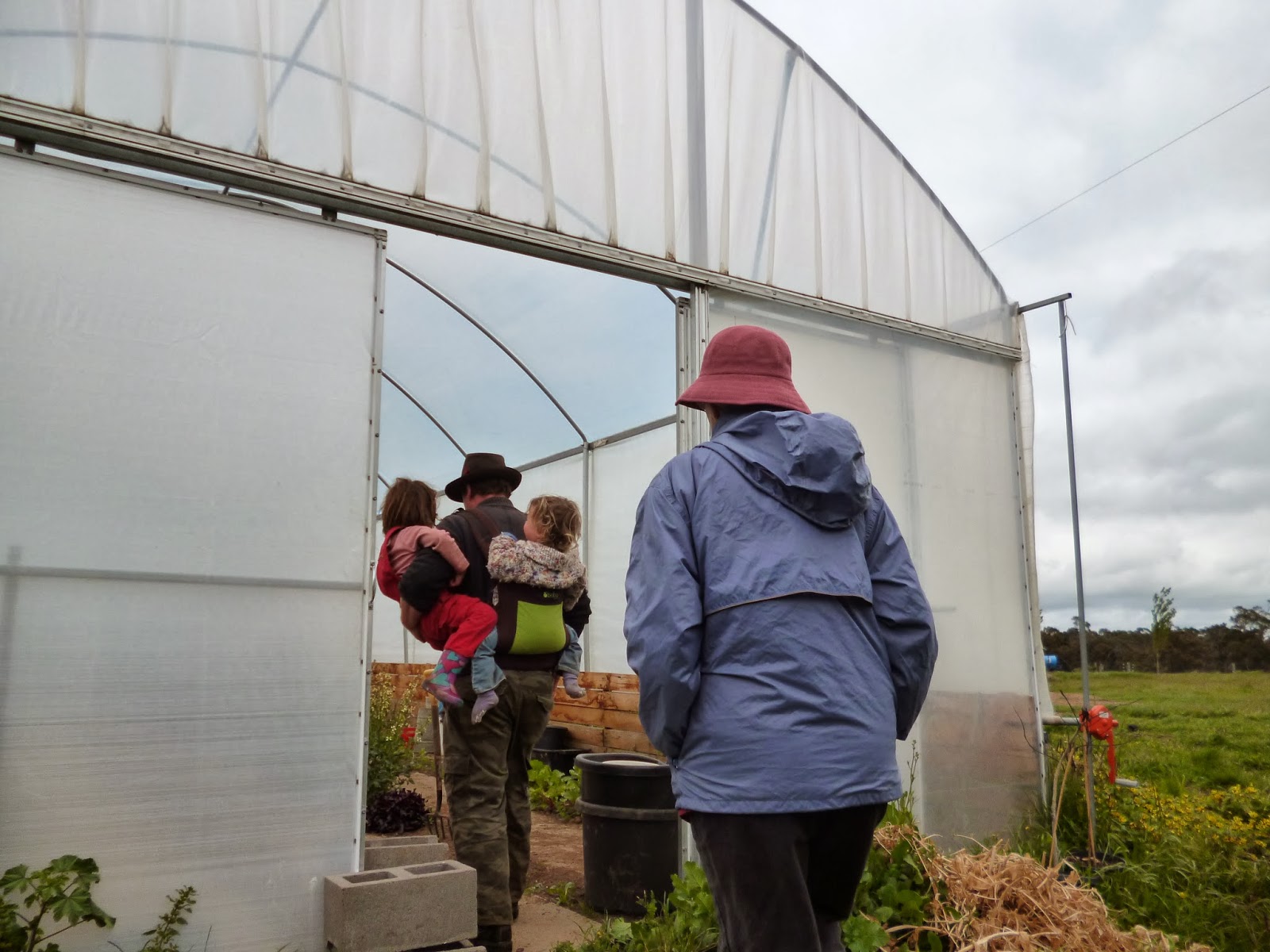 PURPLE PEAR FARM permaculture in action: Taranaki Farm