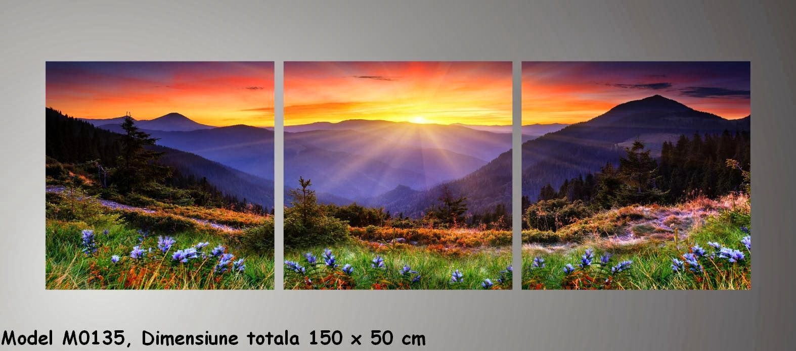 Tablouri Canvas, Tablouri Moderne, Tablouri Decorative, Tablouri ...