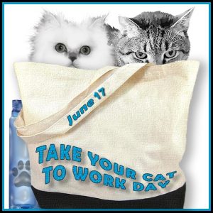 Friends FurEver: Take Your Cat To Work Day or Toon Tuesday on Monday