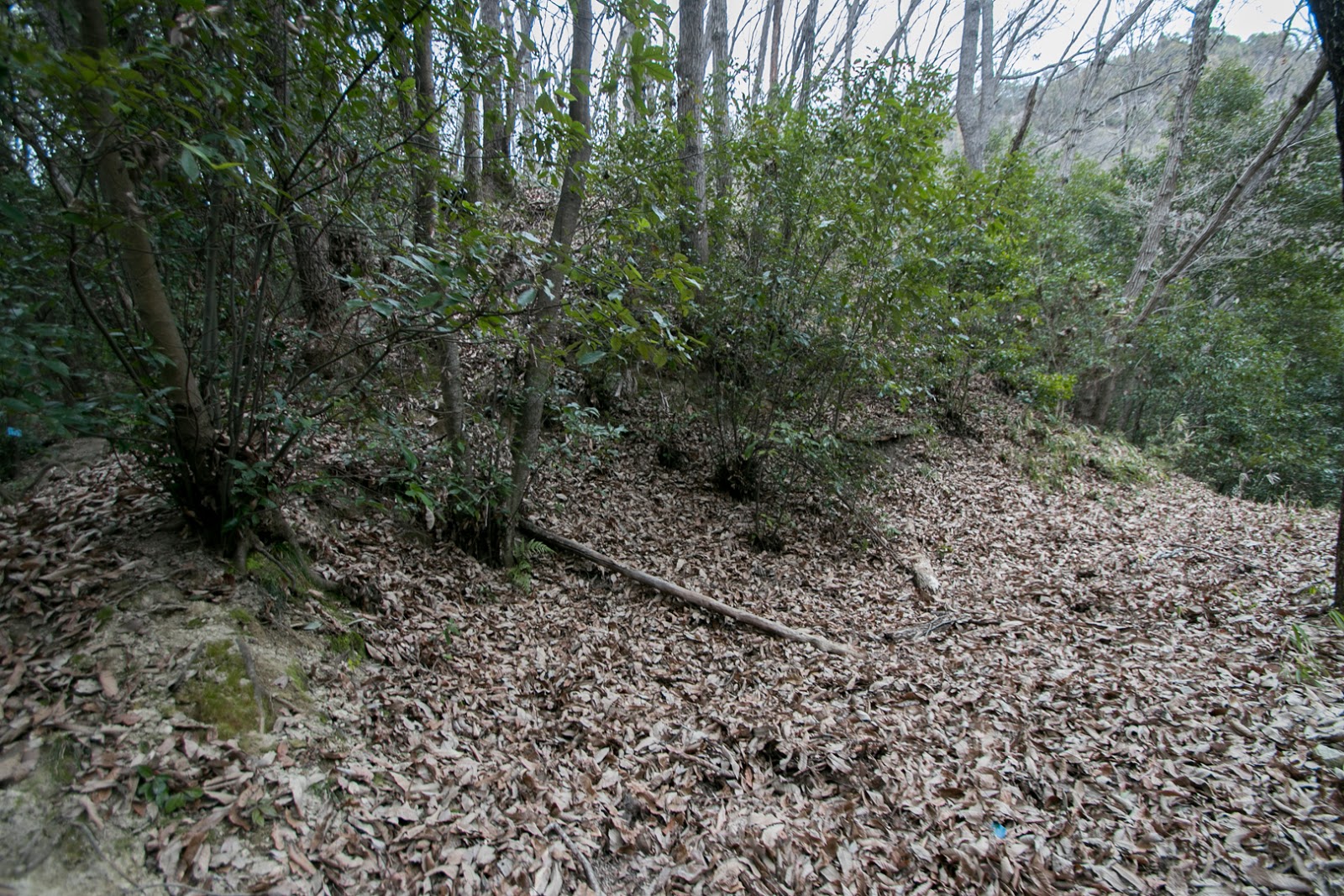 Niitakayama Castle -Intellectual pillar of Mouri clan (2)- | Japan ...