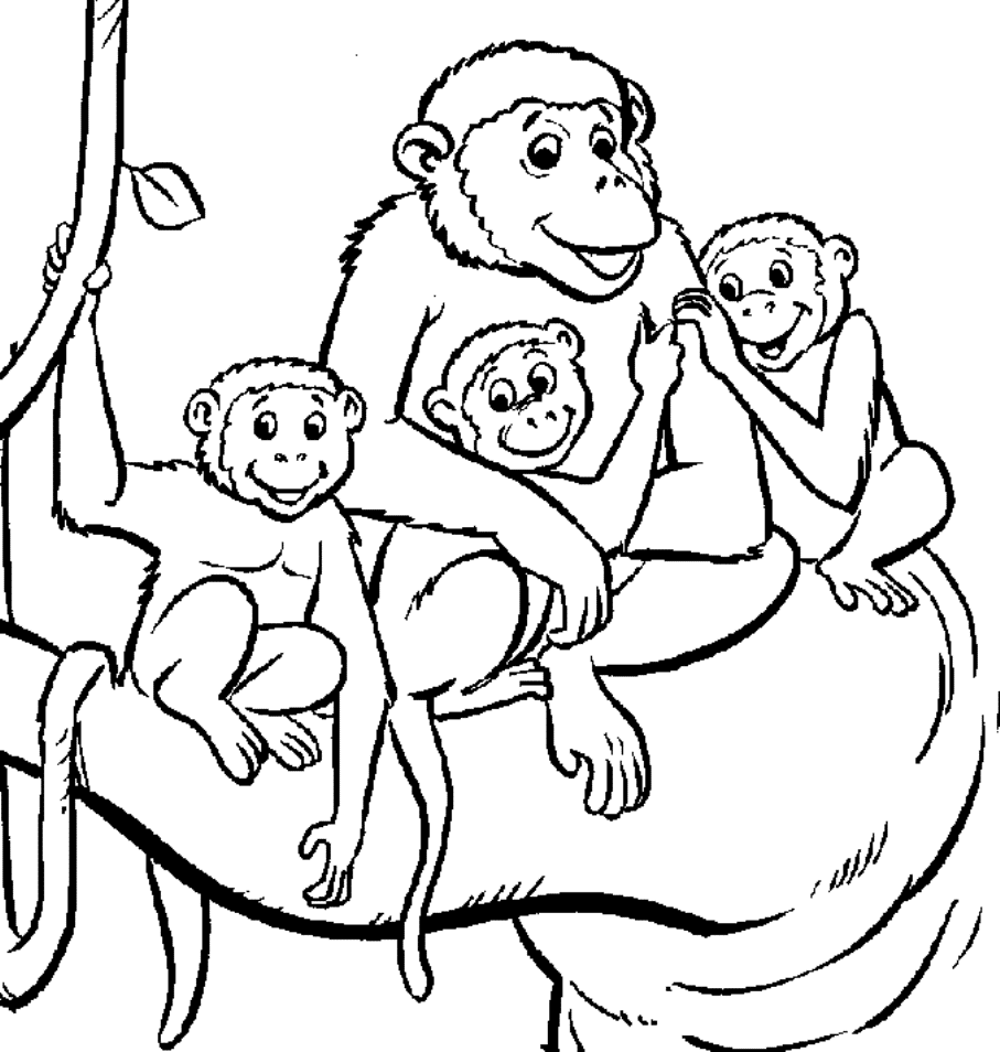 Mewarnai Gambar Belajar Mewarnai Gambar Binatang Monyet Yang Lucu - Riset Mewarnai Gambar Belajar Mewarnai Gambar Binatang Monyet Yang Lucu - Riset