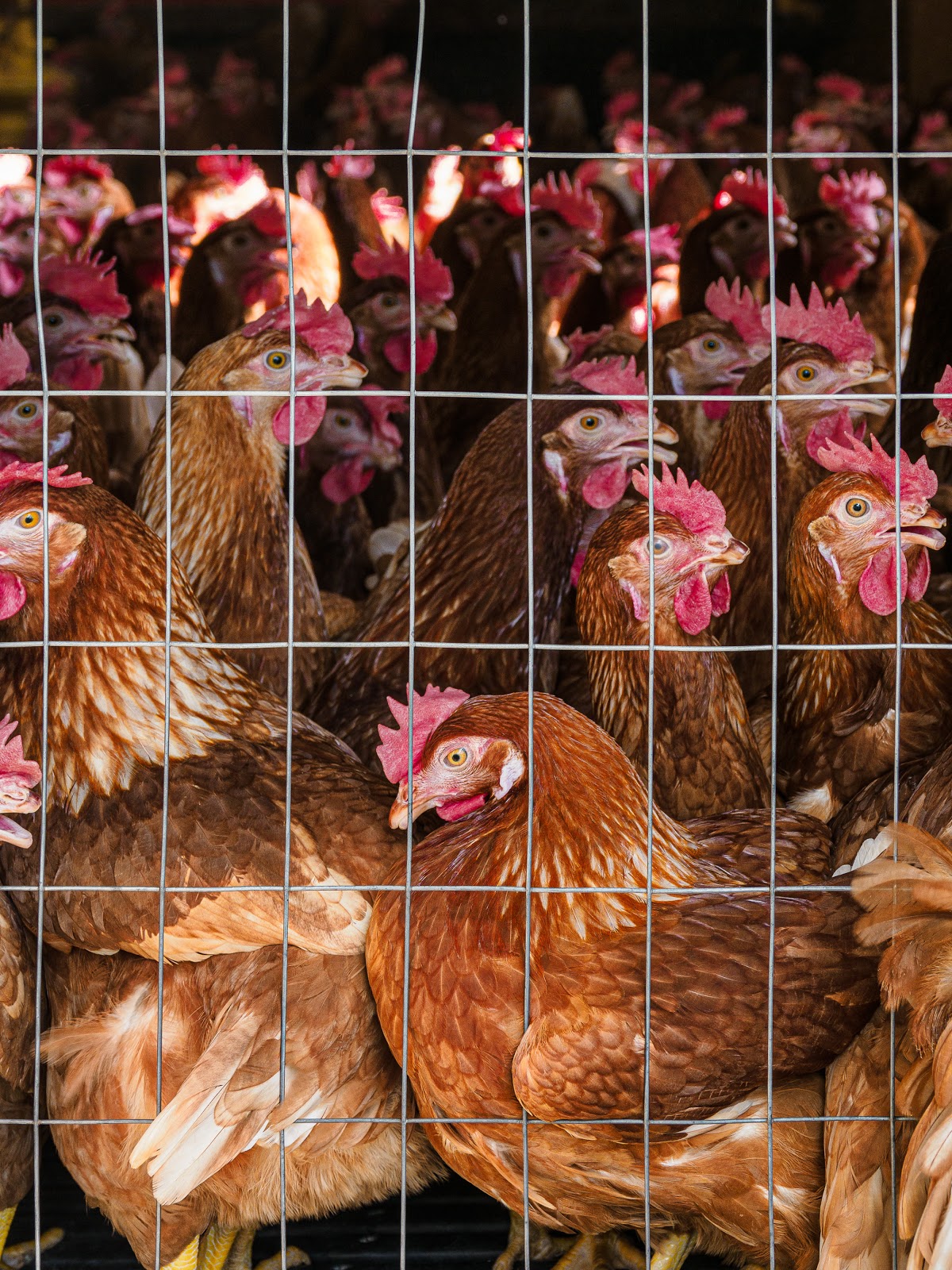 The Wandering Lensman: Recent Road Trip To Lancaster, Pennsylvania ...