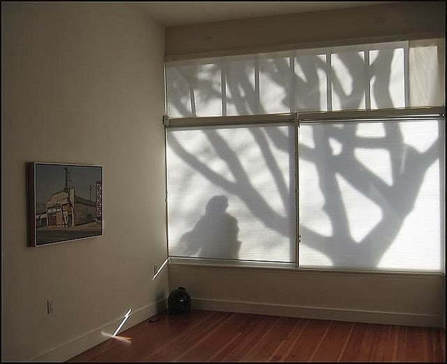 Light Color Design: Patterns of Light and Shadow