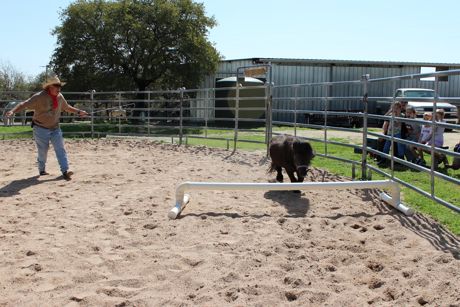 Little Buckaroo Ranch