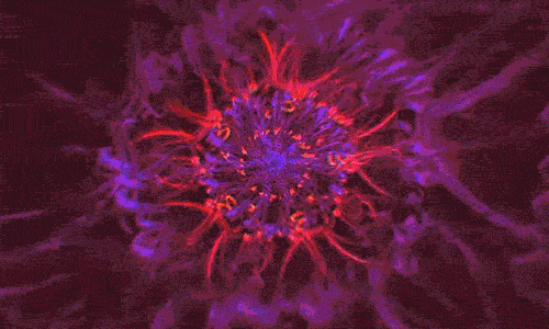 The World of David Vostell 1976 - 2016: 2012