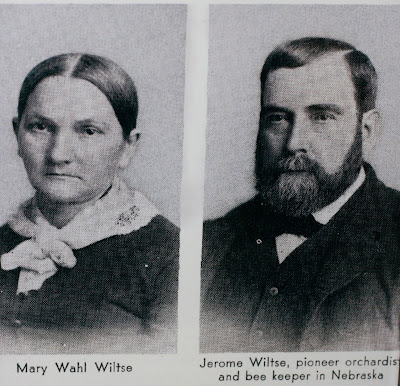 GatheringGardiners: Jerome C Wiltse 1834-1924