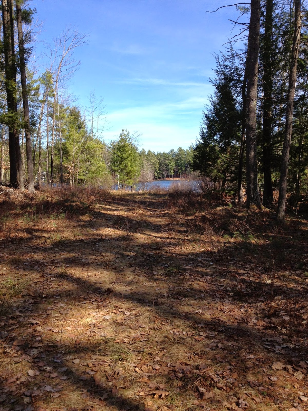 The Chronicles of Sully: Sully's First Off-Road Adventure