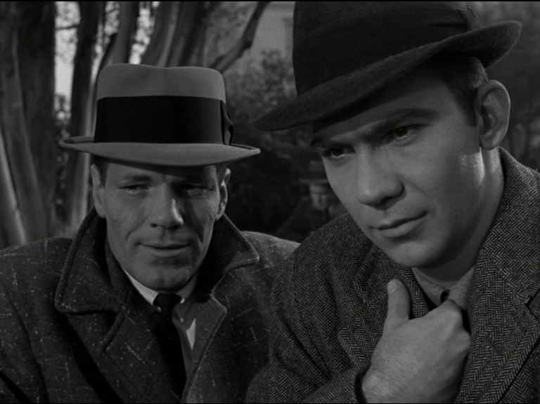 bare•bones e-zine: The Hitchcock Project-Harold Swanton Part Eight: The ...