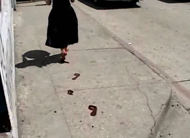 Meridiano 89 Oeste 89th Meridian West: ¿Quién puede borrar las huellas ...