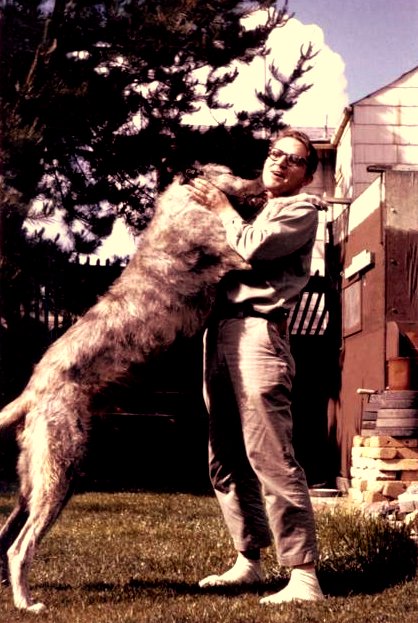 The Flying Tortoise: A Man And His Dog Should Never Be Parted...