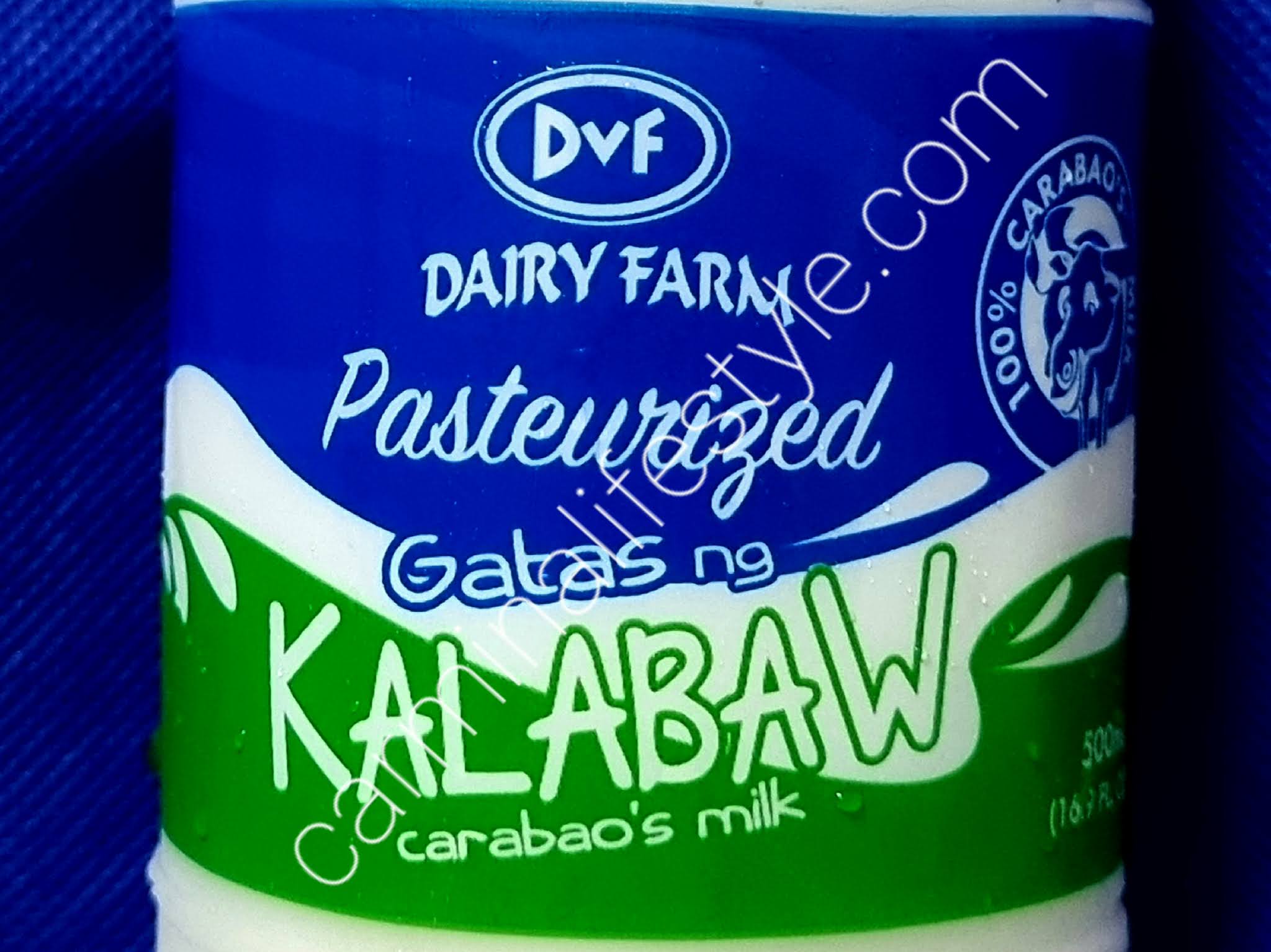 DVF Dairy Farm's Gatas ng Kalabaw (Carabao's Milk)