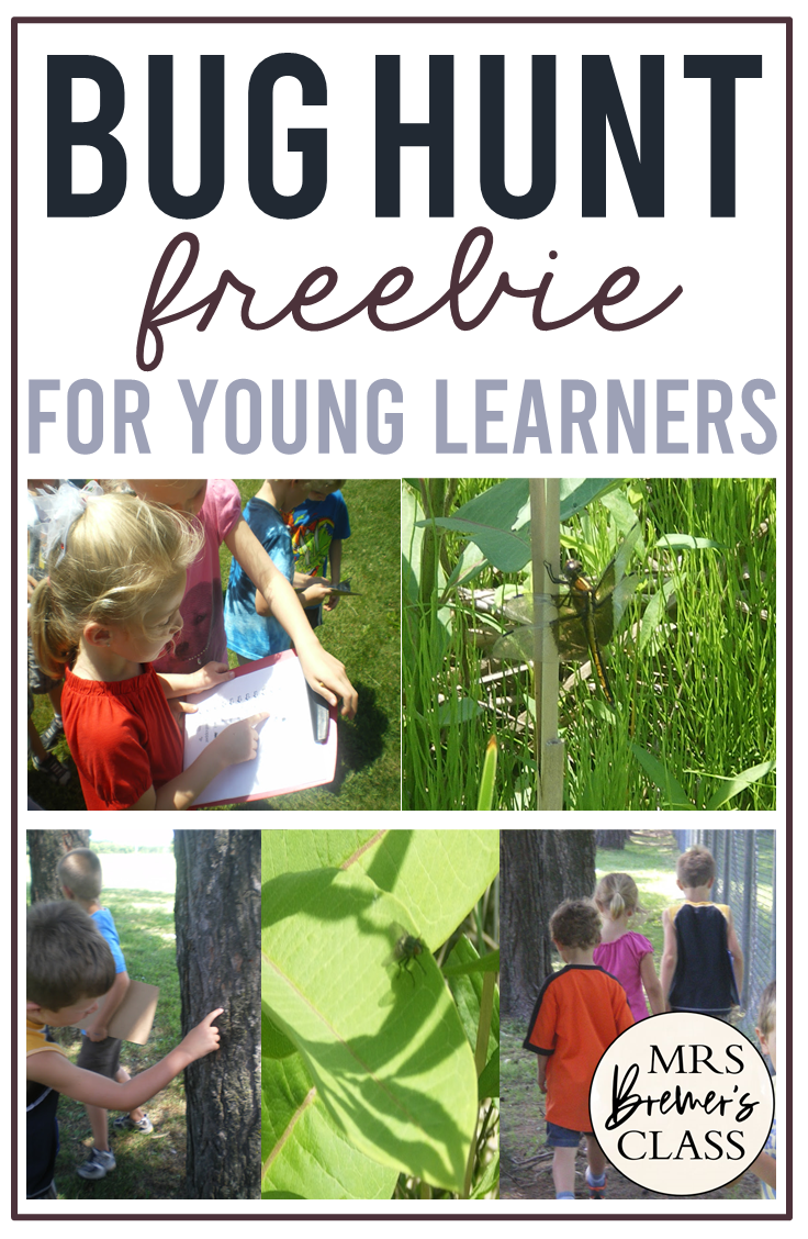 We're Going On A Bug Hunt...freebie! | Mrs. Bremer's Class