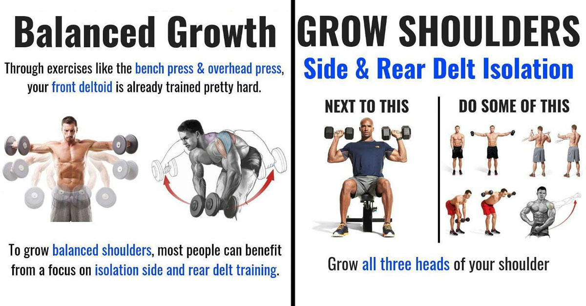 10 BEST MUSCLE-BUILDING SHOULDER EXERCISES TO BUILD 3D SHOULDERS ...