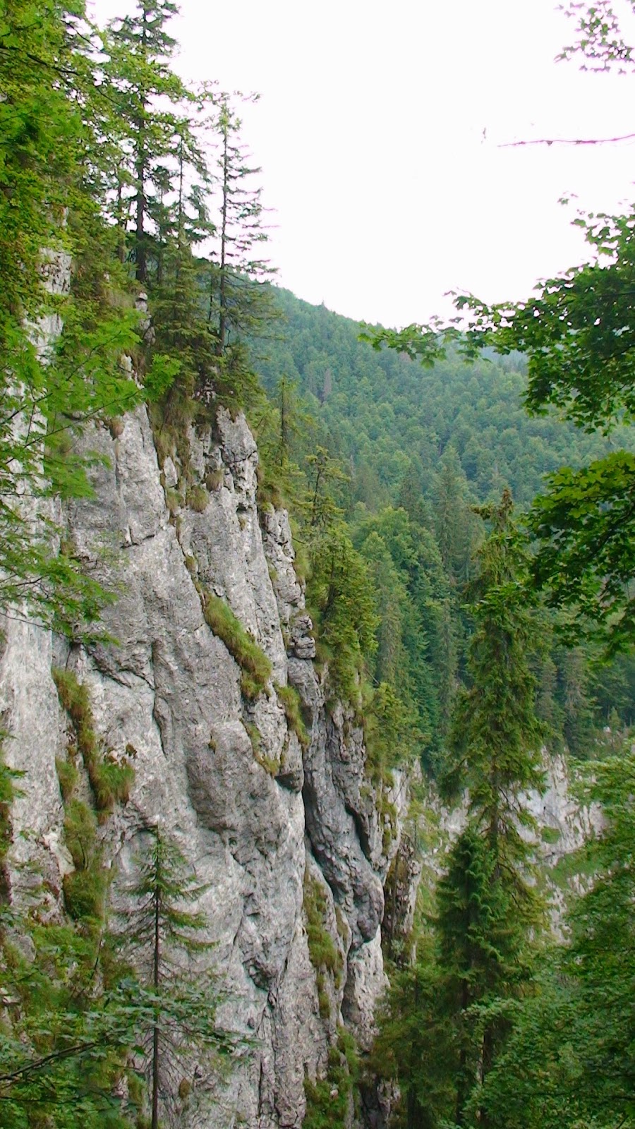 TUDOR PHOTO BLOG: Padis-Zona Turistica,Padis-Touristic Zone,Muntii ...