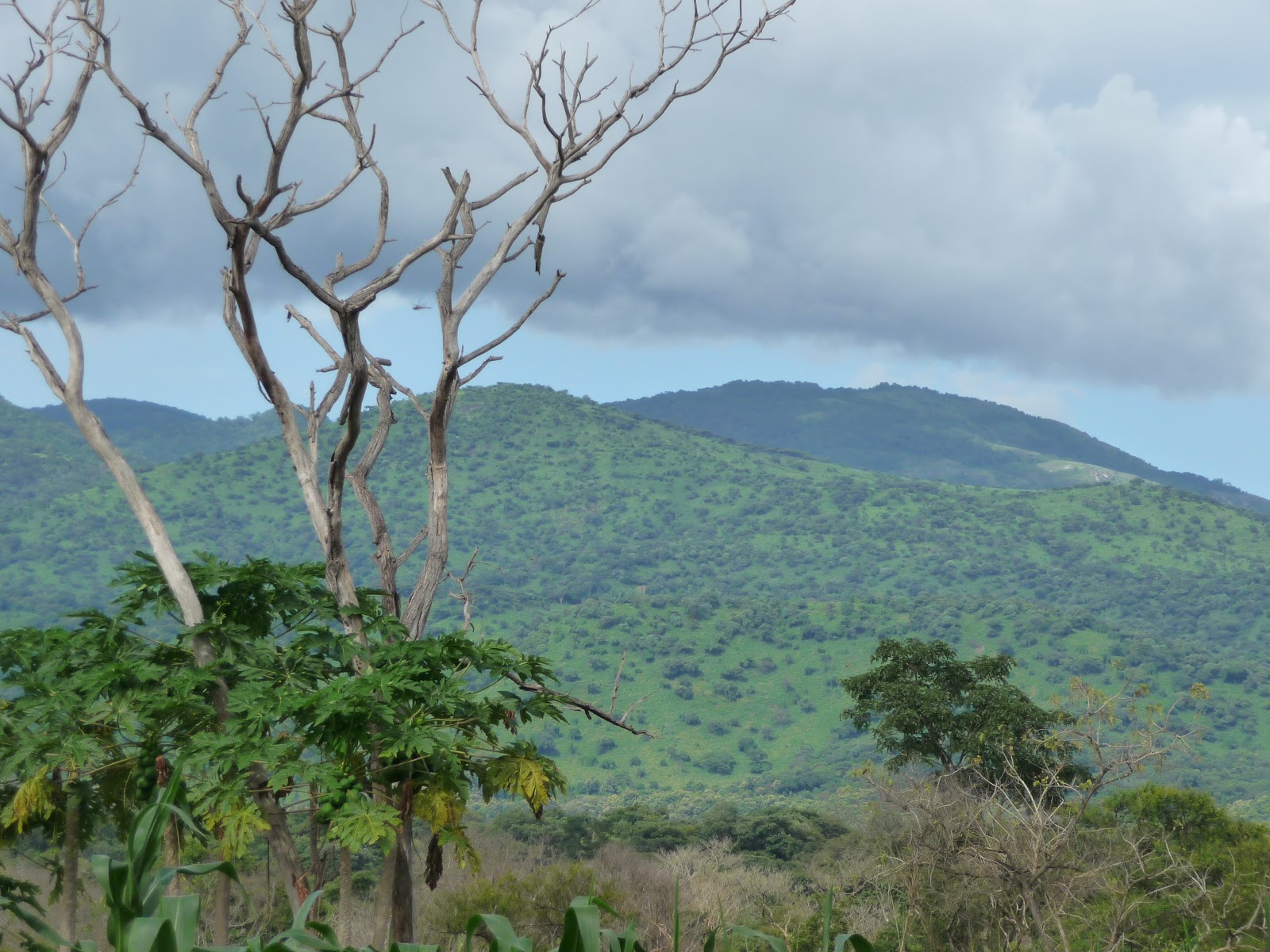 Thompson's Tukul: Adventure in Magwi County