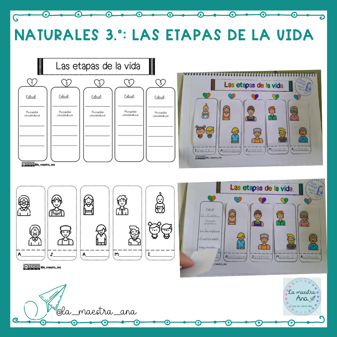 Tizas de colores: Las etapas de la vida