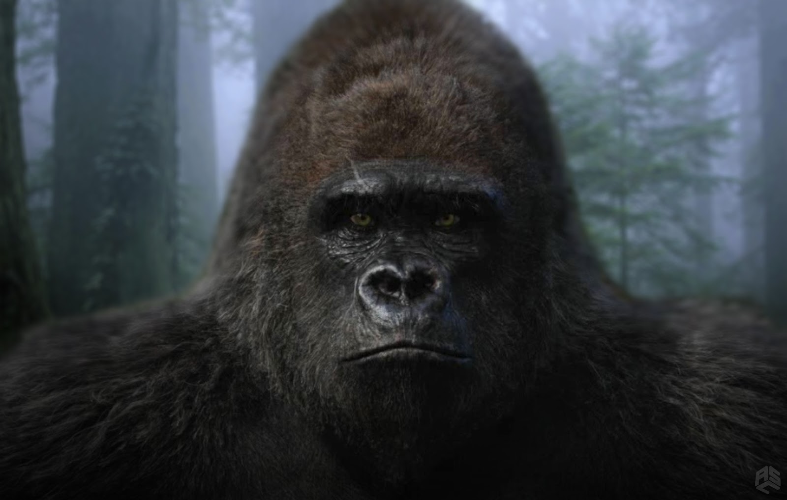 Archives Of The Apes: War For The Planet Of The Apes (2017) Concept Art