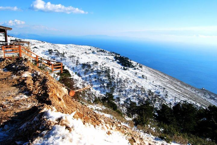 Llogara in snow - Albanian photo gallery