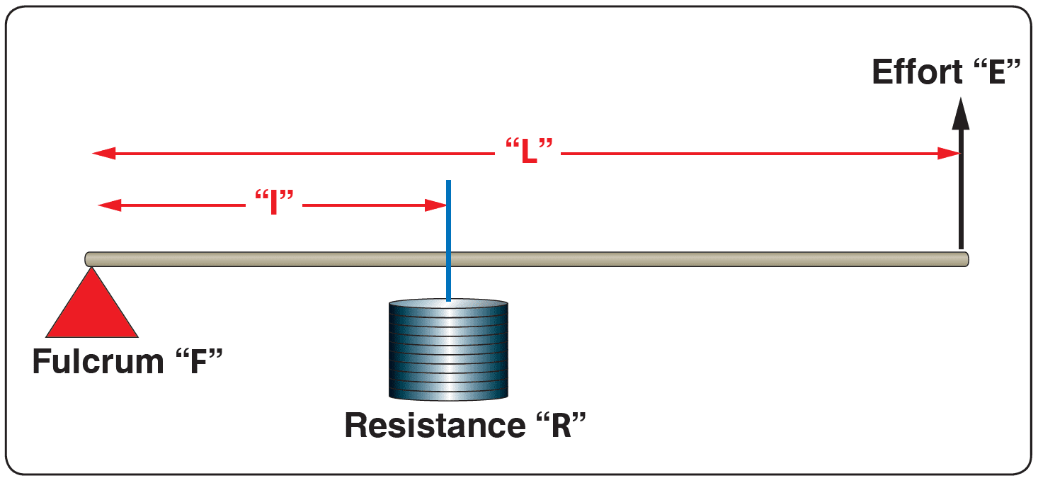 Simple Machines 2nd Class Lever