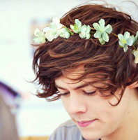 Directioner Problems: The Struggles