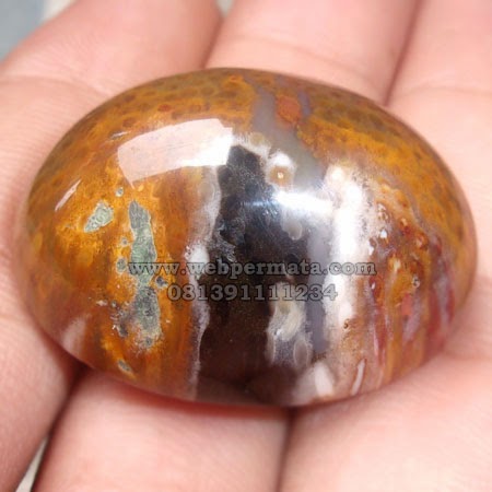 Batu akik Fosil Antik | Web Batu Permata