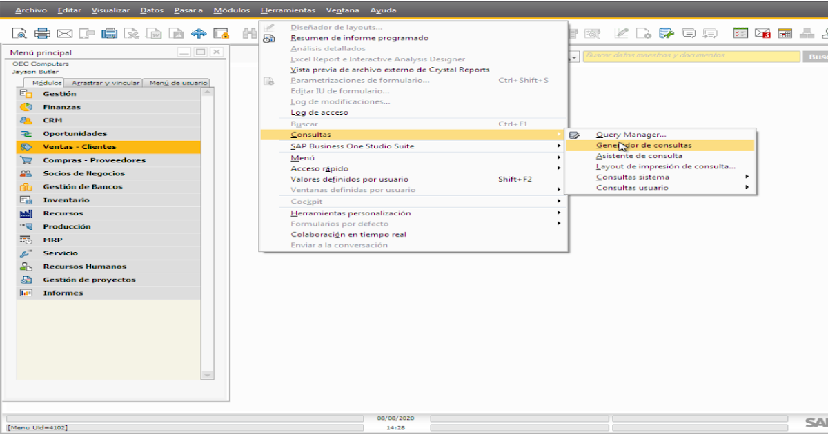 SAP BUSINESS ONE: QUERY MANAGER