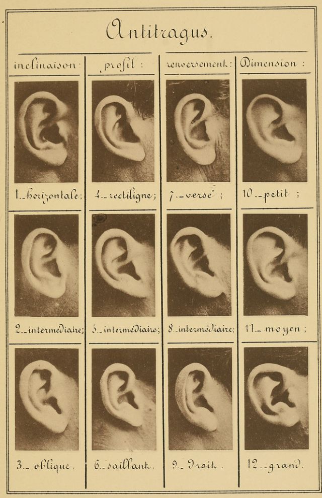 Alphonse Bertillon and the Ears Identification of Persons (1893 ...