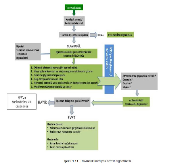 OZEL DURUMLARDA KARDIYAK ARREST