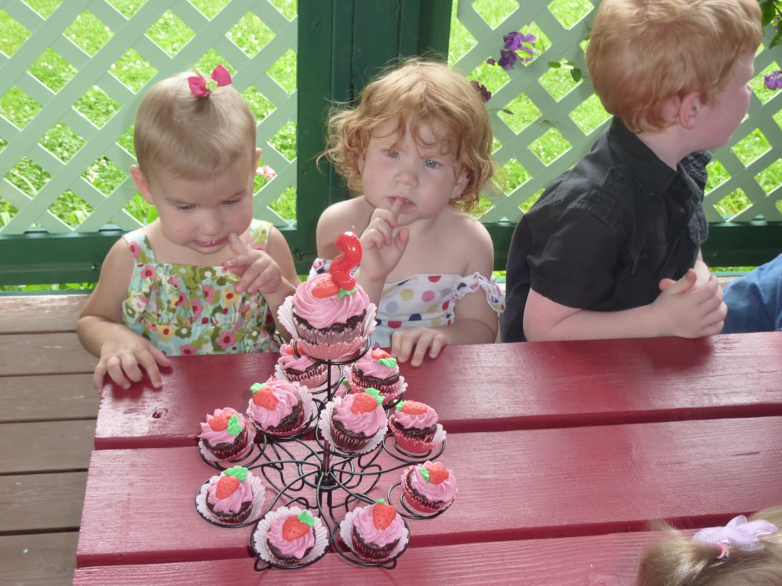 Delicately Sweet Confections: Ashlynn's 2nd Birthday ~ Little Miss ...