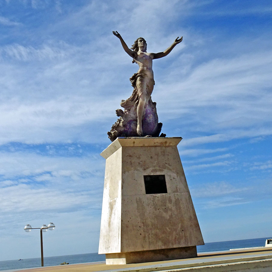 More Golden Years: Flora and fauna of Mazatlan