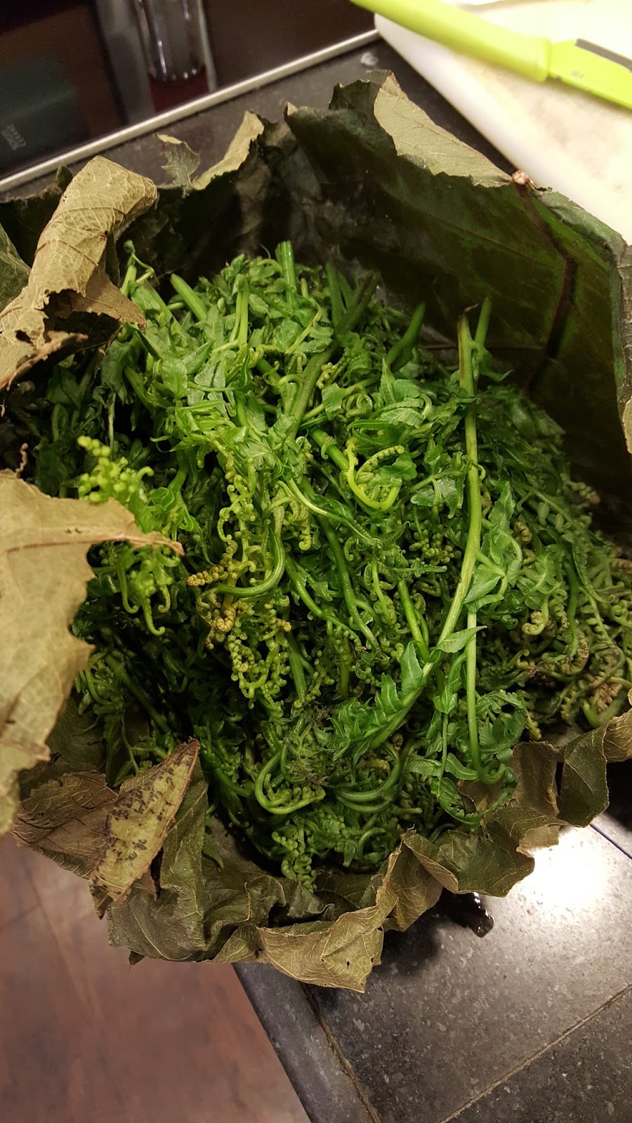 Rushina Munshaw Ghildiyal: Lingde, Khutde, Dhekia xaak, Neuro or ...