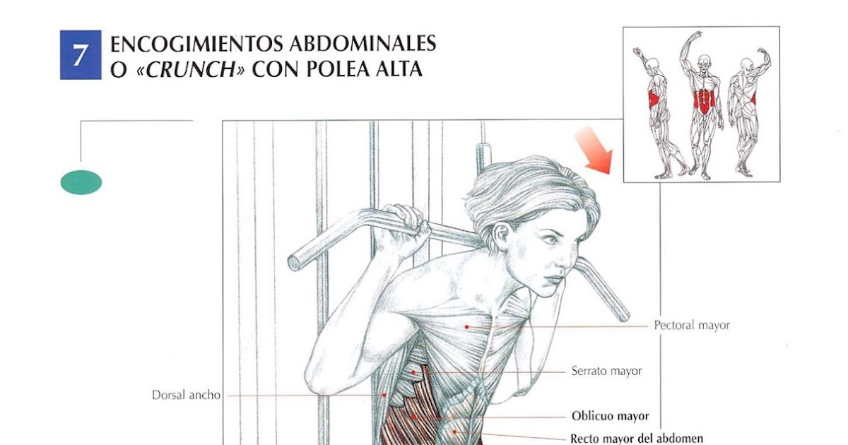 Ejercítate 365: ENCOGIMIENTOS ABDOMINALES O «CRUNCH» CON POLEA ALTA. HOMBRE