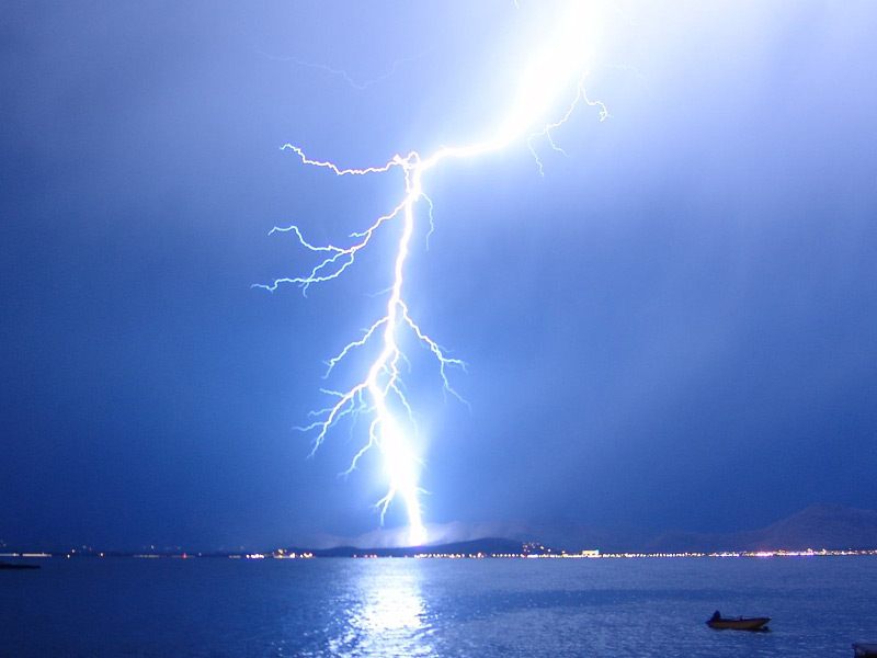 Mariposa traicionera: RELAMPAGO