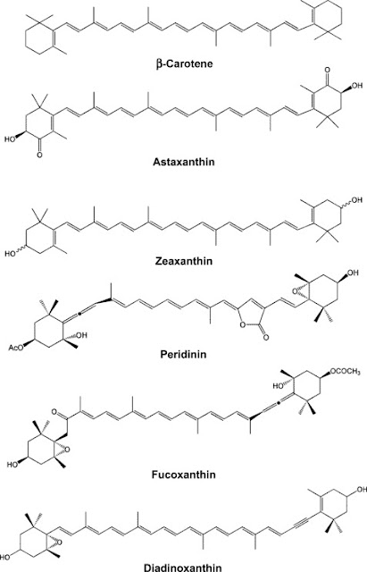 Keragaman dan Keunikan Struktur Terpenoid - E-Chemistry