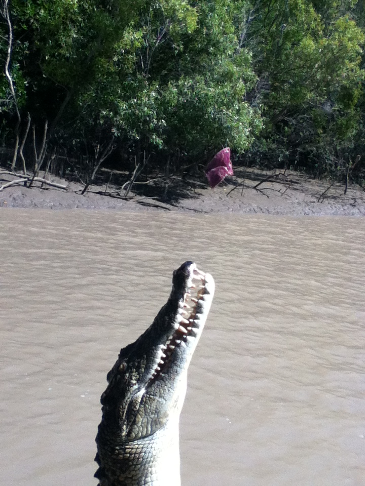 Scheffer Family's Great Aussie Adventure - 2013: 4 June 2013 – Humpty ...