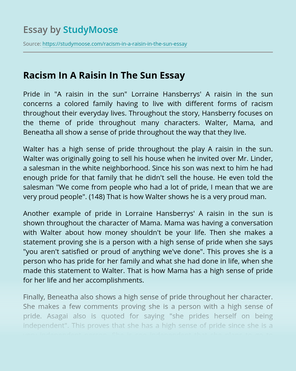 essay examples: Essay On Racism