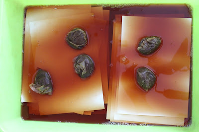 My Guide to Rust Dyeing Paper