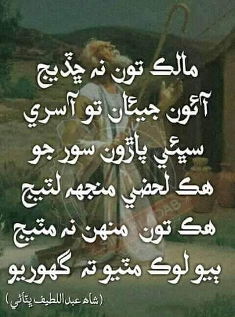 10+ Famous Sindhi Aqwale Zareen Quotes with Images