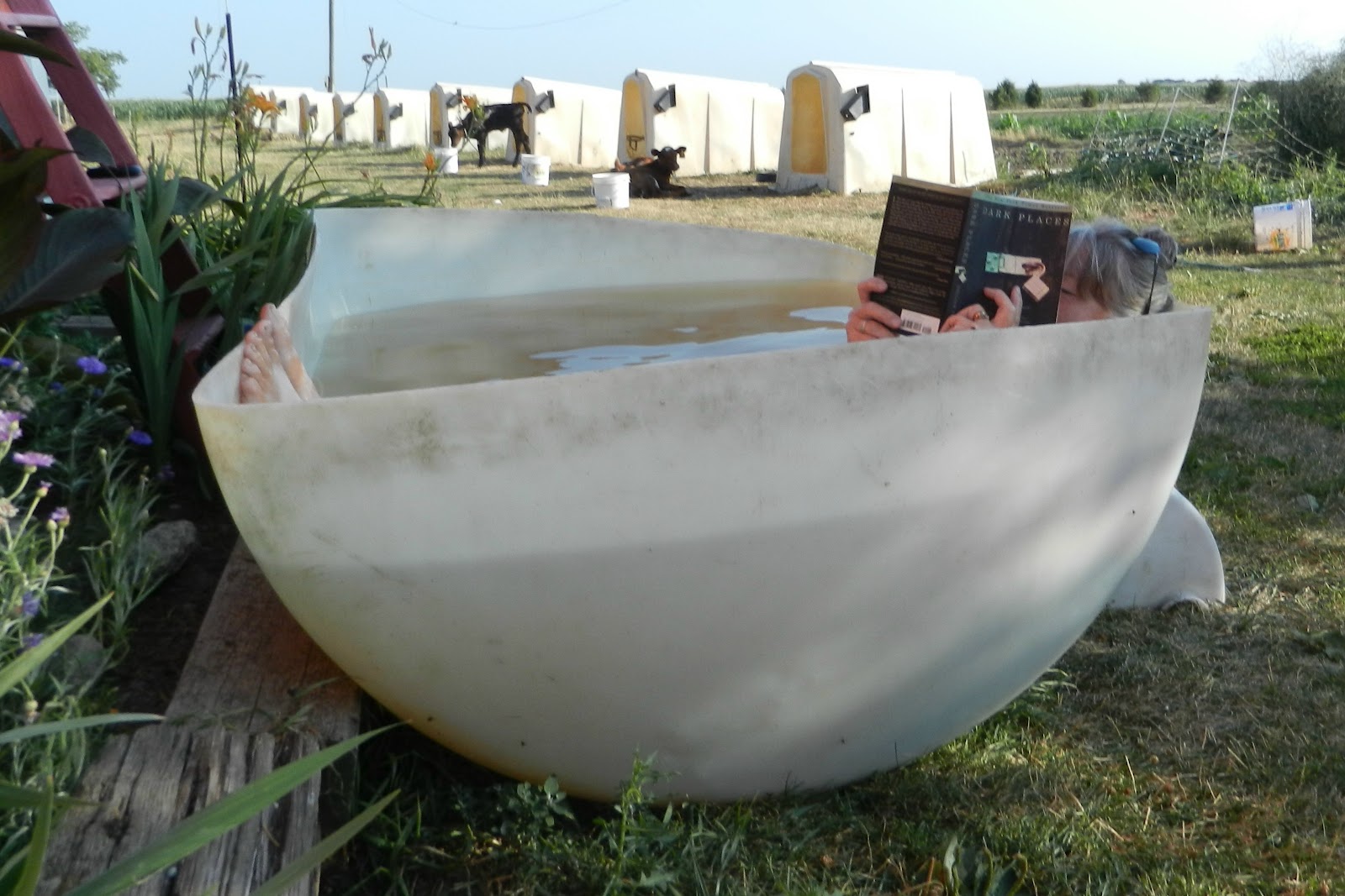 Redneck Pool | Self-Sufficiency | Before It's News