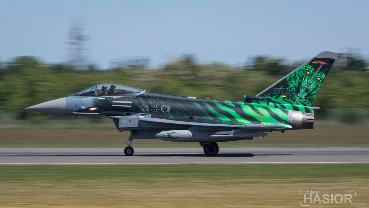 Jaroslaw Hasior Photography: The Ghost Tiger