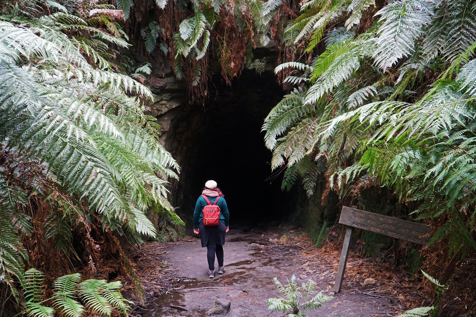 Glow Worm Tunnel Walk Track (Wollemi National Park) ~ The Long Way's Better