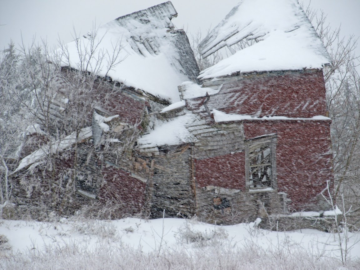SubRosa-RosaMundi: Sad Old House Photos