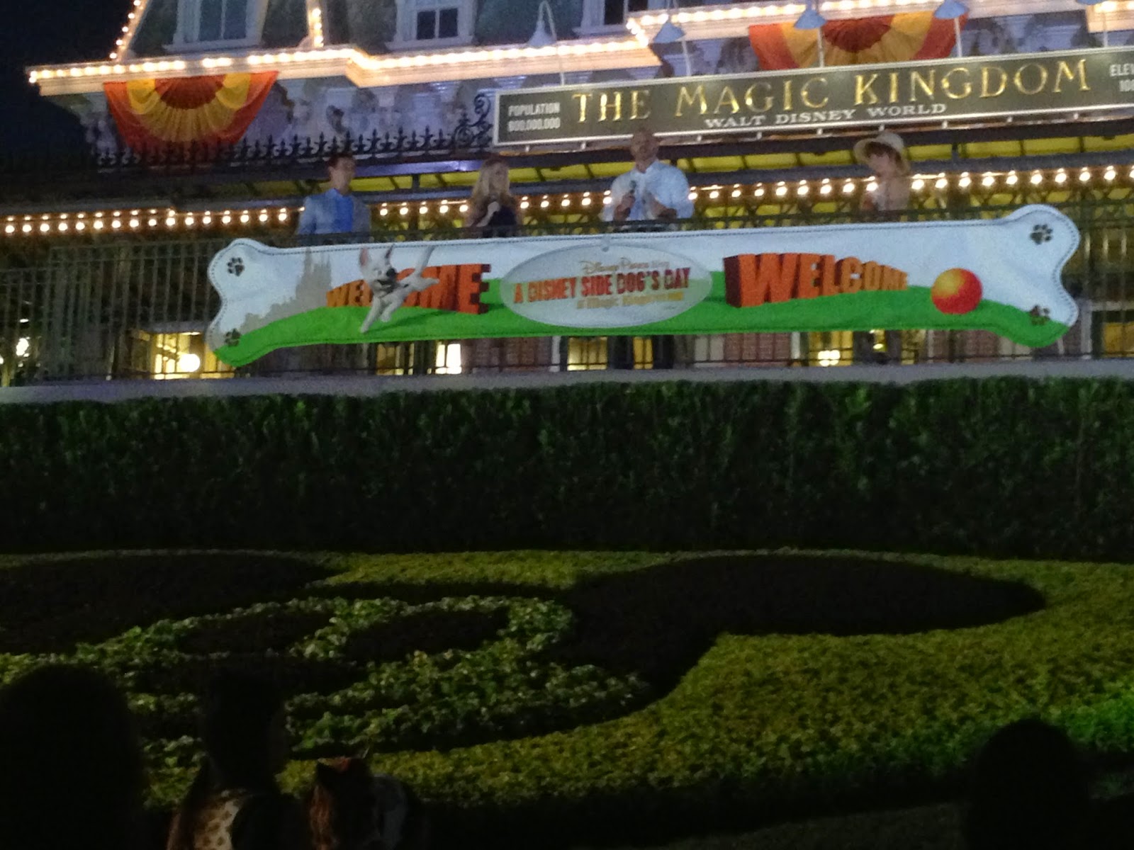 Once Upon a Run: Disney Parks Blog #DisneySide Dog's Day at Magic ...