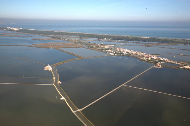 La Albufera de Valencia - Hay Pesca!
