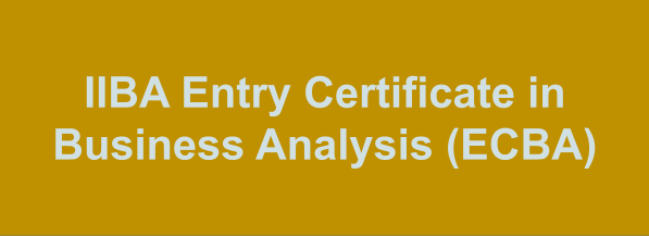 IIBA Entry Certificate in Business Analysis (ECBA) | Process News