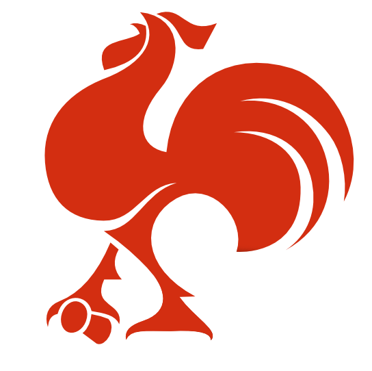 GALITOS Basquetebol: Plano de desconfinamento | Regresso aos treinos ...