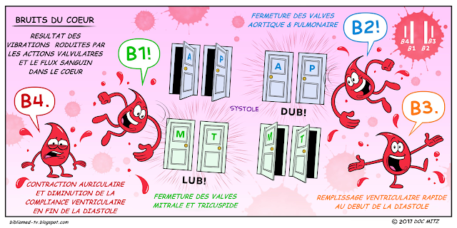 Auscultation Cardiaque et Bruits du Cœur Normaux - Bibliothèque & Vidéothèque Médicale