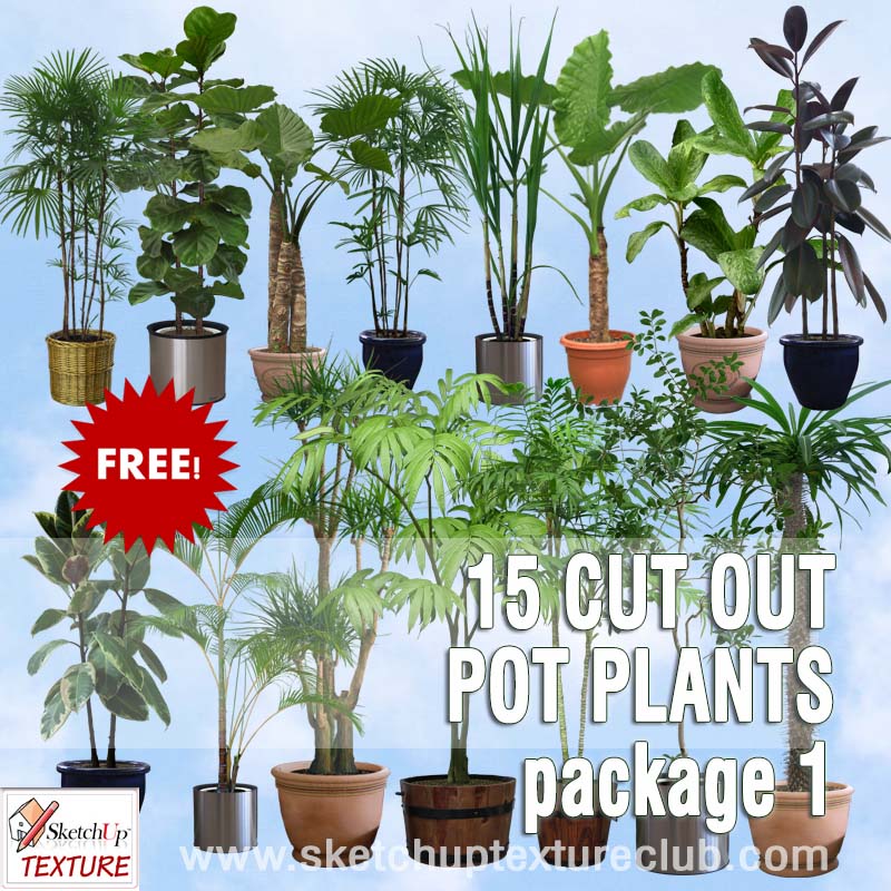 SKETCHUP TEXTURE: Search results for flowers