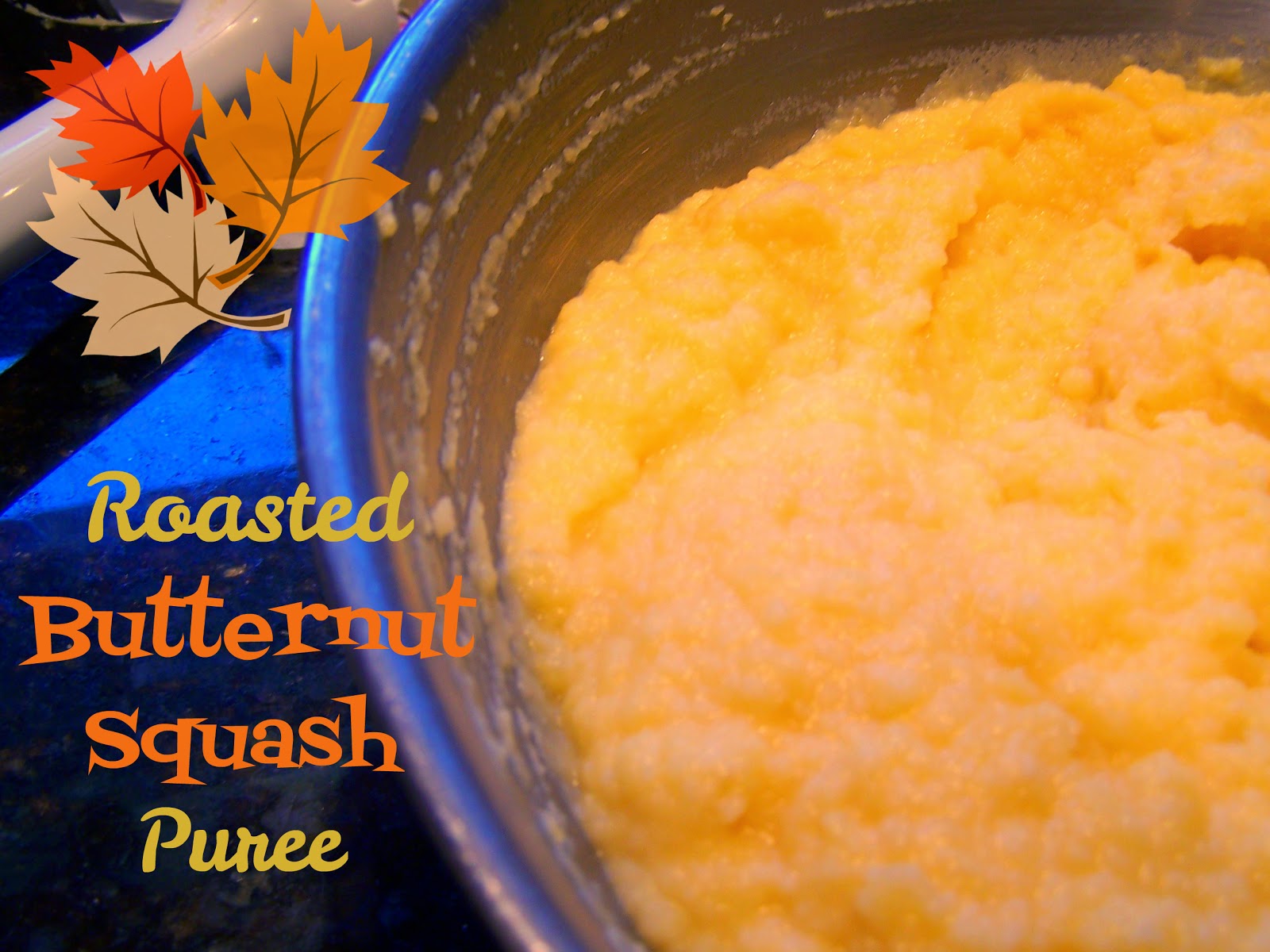 Go Ahead... Take A Bite!: Roasted Butternut Squash Puree (Holiday Sides)