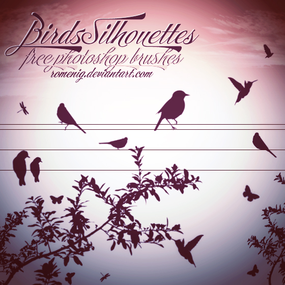 Efeito Photoshop: Birds Silhouettes Photoshop Brushes